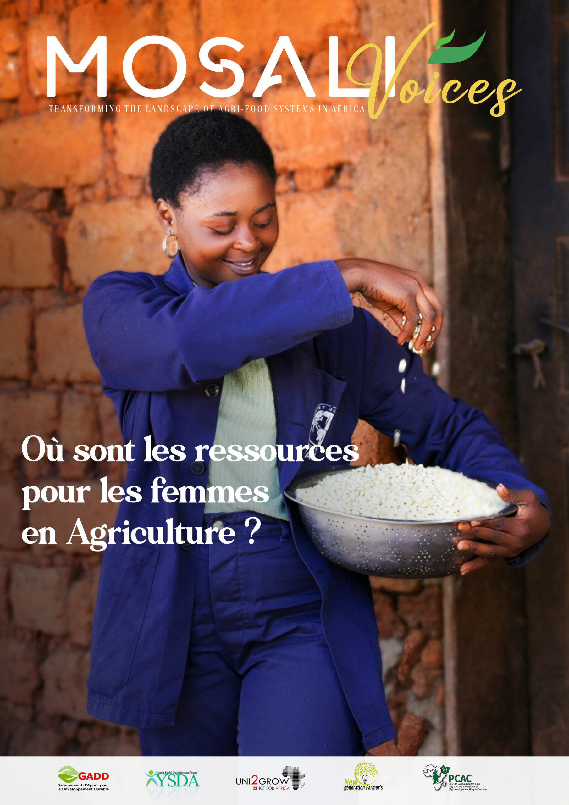 Le deuxième numéro de MOSALI VOICES est disponible / The second issue ...